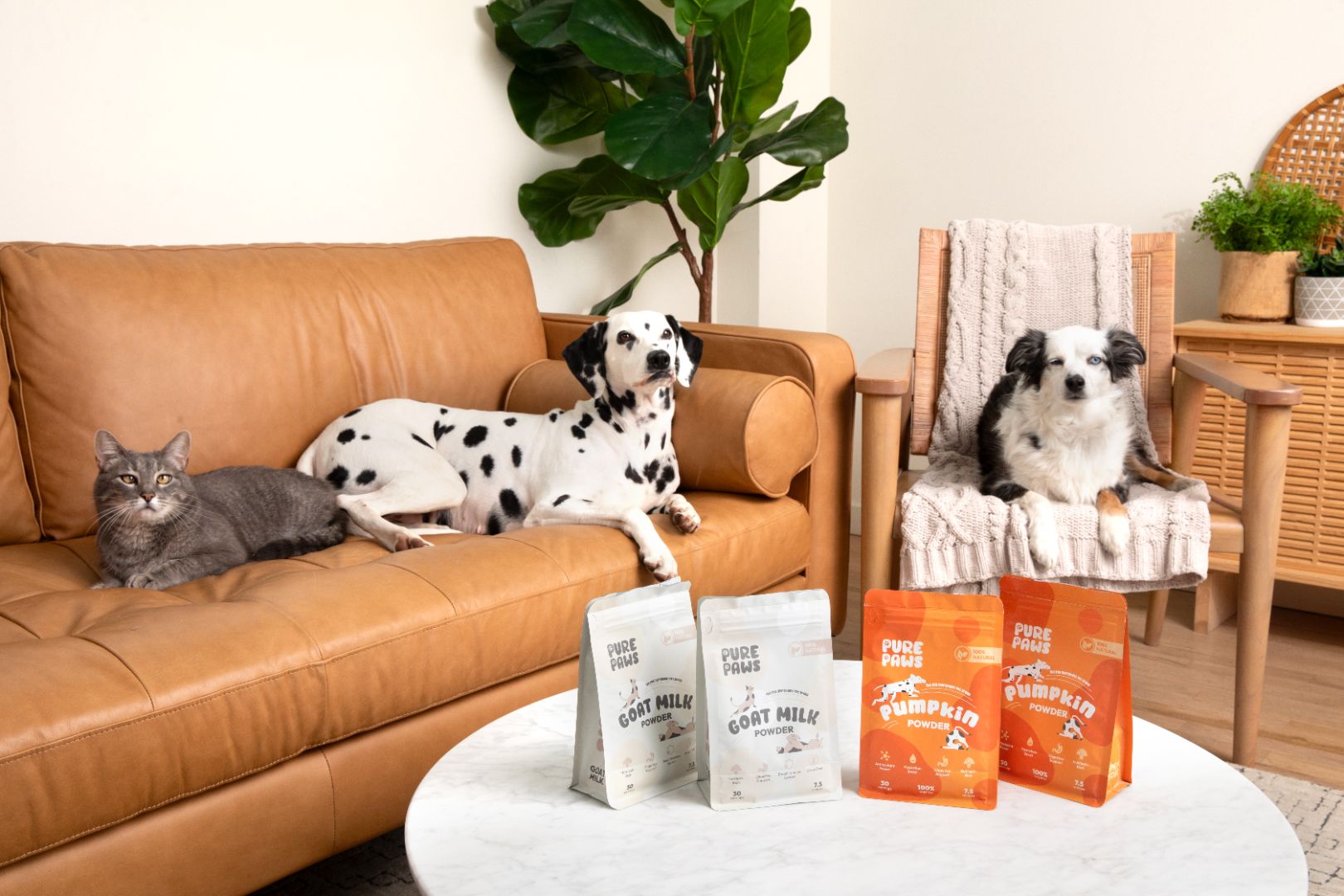 Pure Paws: Single-Ingredient Pet Supplements for Dogs and Cats
