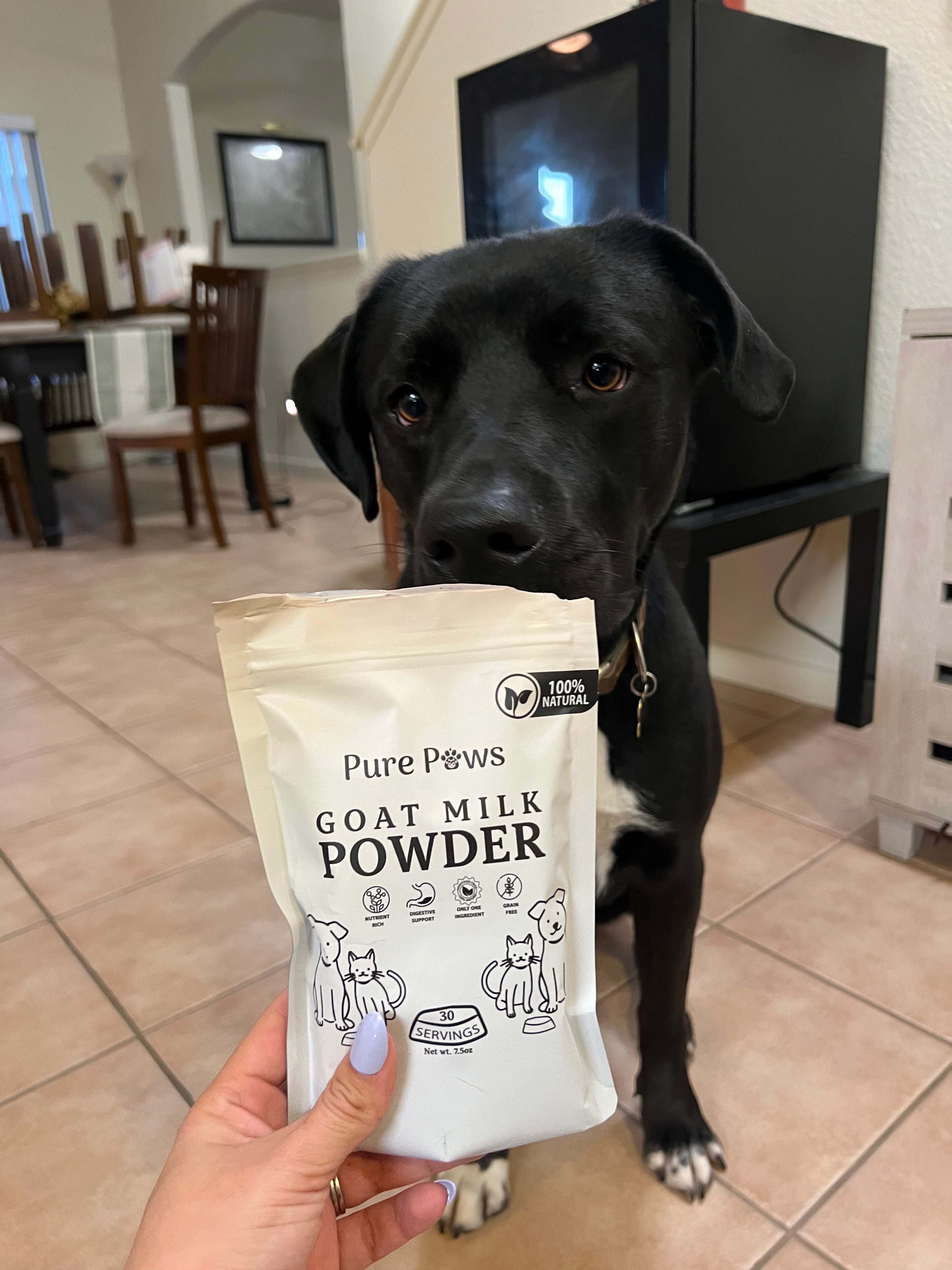 Holistic Pet Supplements | Skin & Coat Care for Dogs | Pure Paws